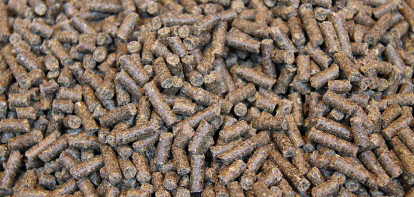 Boerenbusiness.nl - Varkens