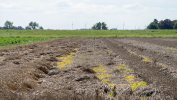 Boerenbusiness.nl - Home