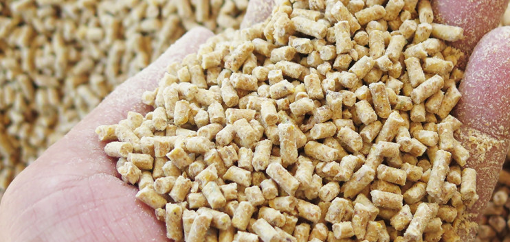 Prijsvechters veevoer bundelen krachten - Nieuws Voer | Boerenbusiness.nl