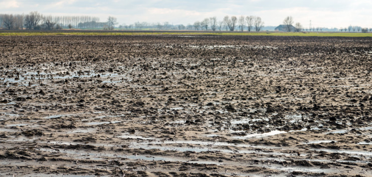 The most rain fell on the Spijk plot this month - Crop Tour Potatoes ...