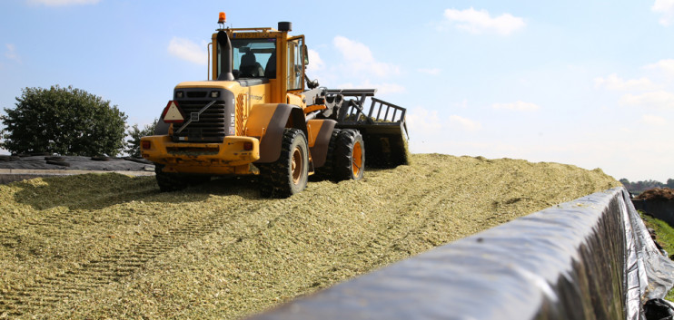 Aanbod maïs en kuil zet druk op prijs - Inside Voer | Boerenbusiness.nl