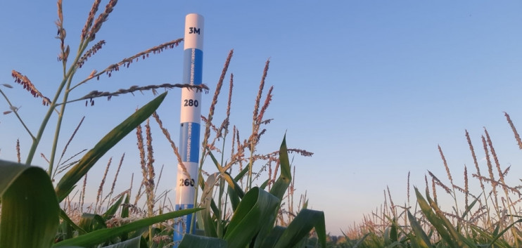 Laatste perceel maïs nu ook in de pluim - Ruwvoertour Week 31 ...