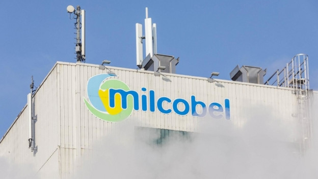 Milcobel zoekt nieuwe CEO met frisse blik vooruit - Analyse Melk ...