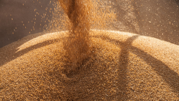 Granenmarkt oogt lusteloos in turbulente wereld - Analyse Granen ...