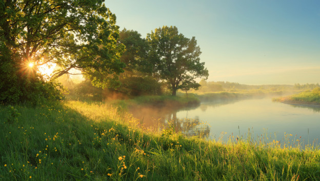 Studie Van der Wal: 700.000 hectare natuur erbij - Nieuws natuur ...