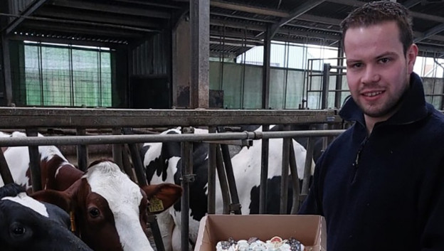 « L'application de transaction affiche les prix dans le secteur laitier » - Présenté par DCA ...