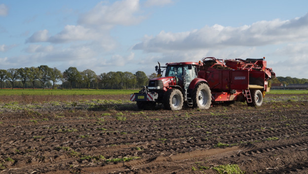 Nog 110.000 hectare in de EU-4 te rooien - Analyse Aardappelen ...