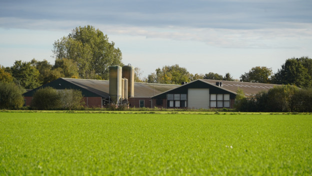 Liever geen verzekerdrama door goed risico's managen - Opinie Jasper ...