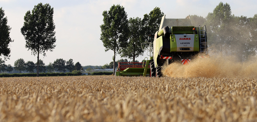 Duitse boeren oogsten 10 procent minder graan - Inside Granen ...